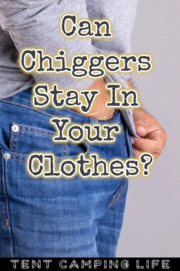 Can Chiggers Stay In Your Clothes